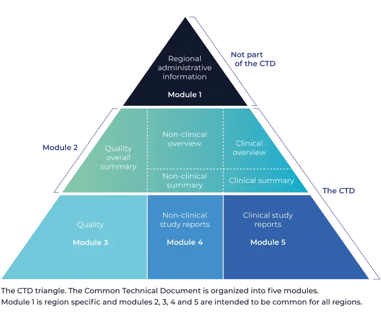 MAA Regulatory Support and Submission Service | Broughton